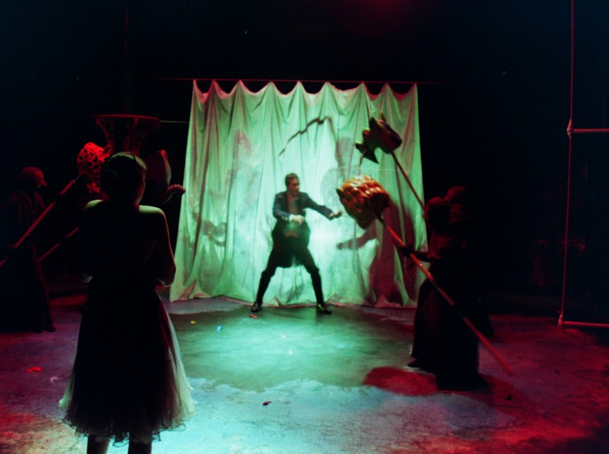 Wild Goose Circus | University of Puget Sound