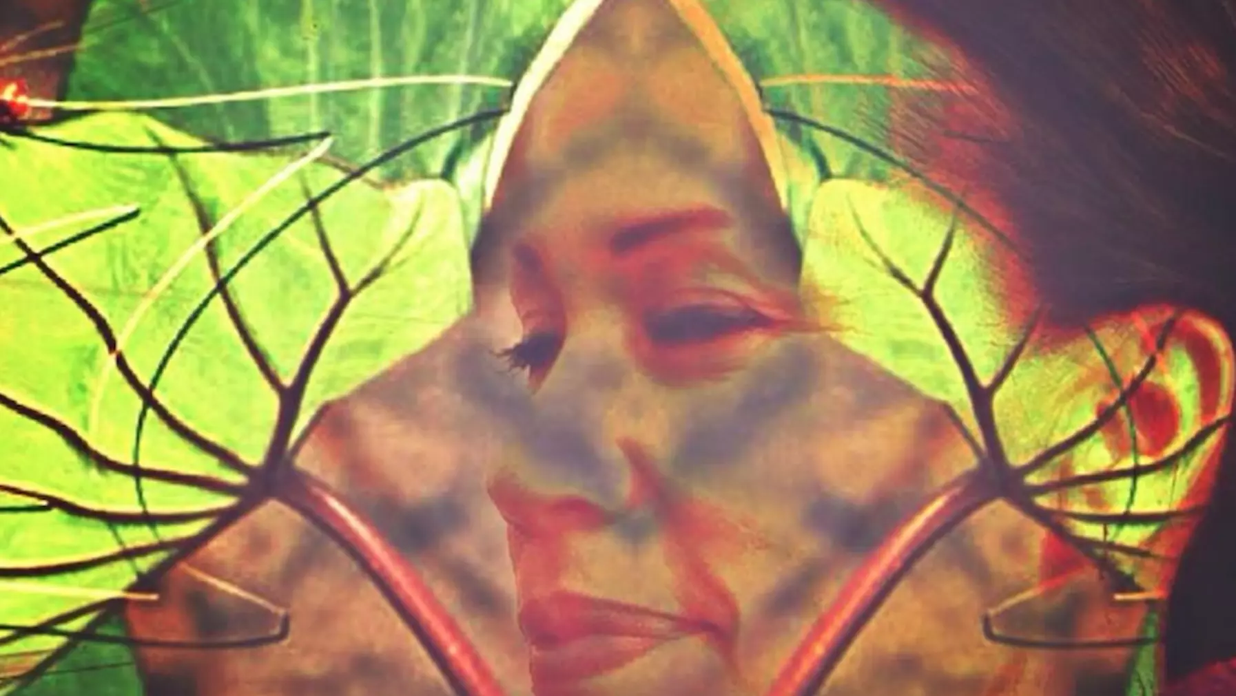 Wednesdays @ 6 p.m. | University of Puget Sound