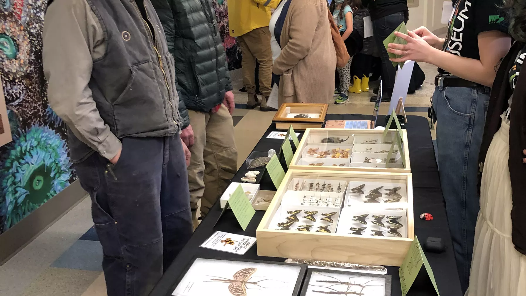 Night at the Museum | University of Puget Sound