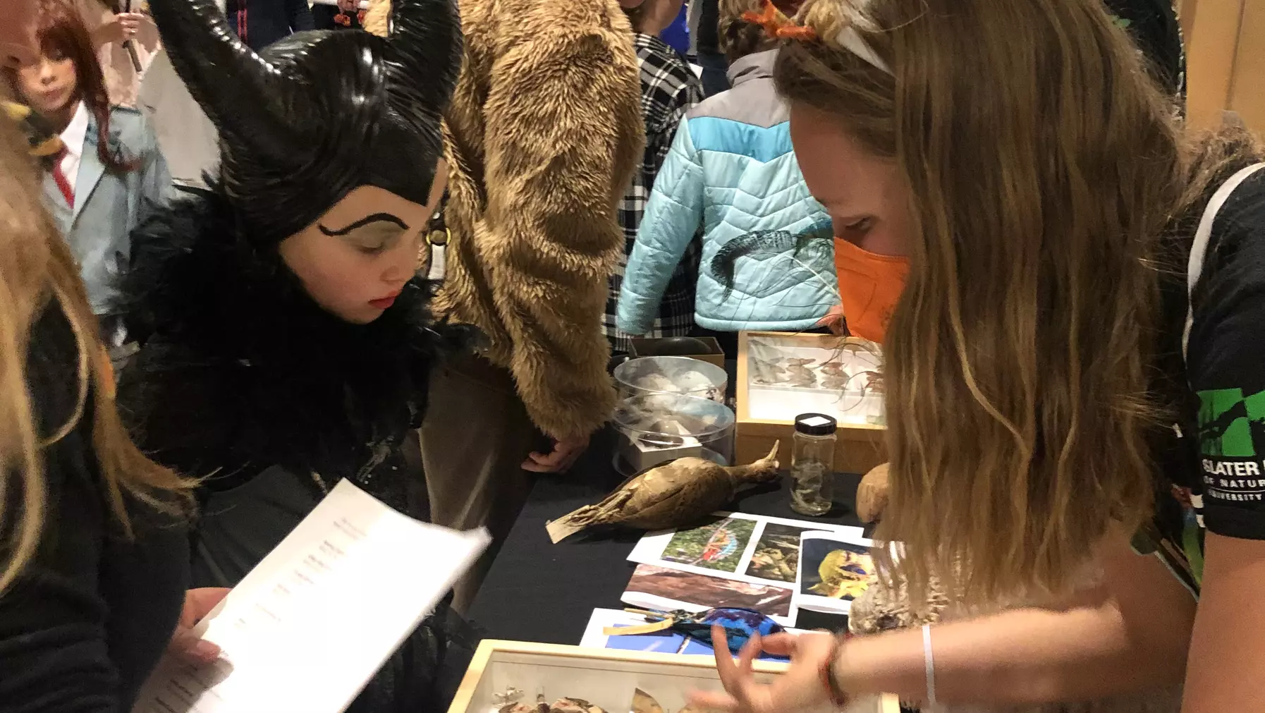 Night at the Museum | University of Puget Sound